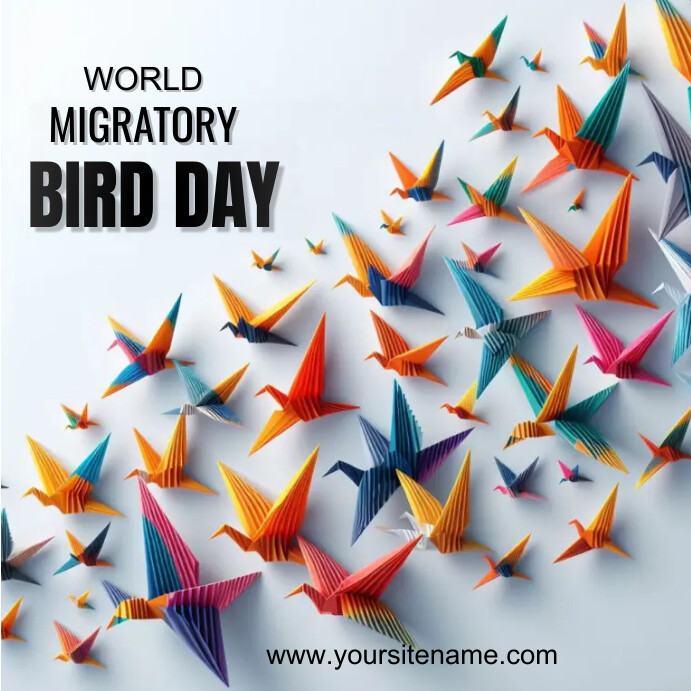 World migratory birds day Template | PosterMyWall