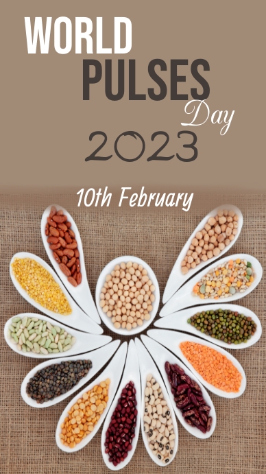 Copy of world pulses day instagram story | PosterMyWall