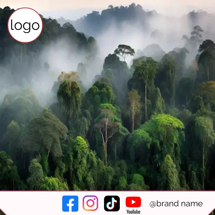 World rainforest day Template | PosterMyWall