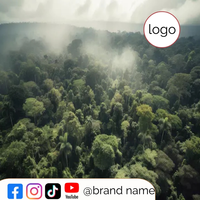 World rainforest day Template | PosterMyWall