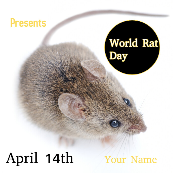 Copy of World rat day | PosterMyWall