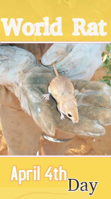 Plantilla de World rat | PosterMyWall