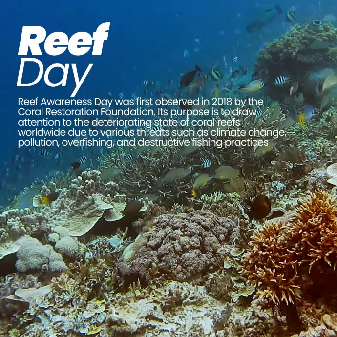 Plantilla de World Reef Awareness Day Instagram Video | PosterMyWall