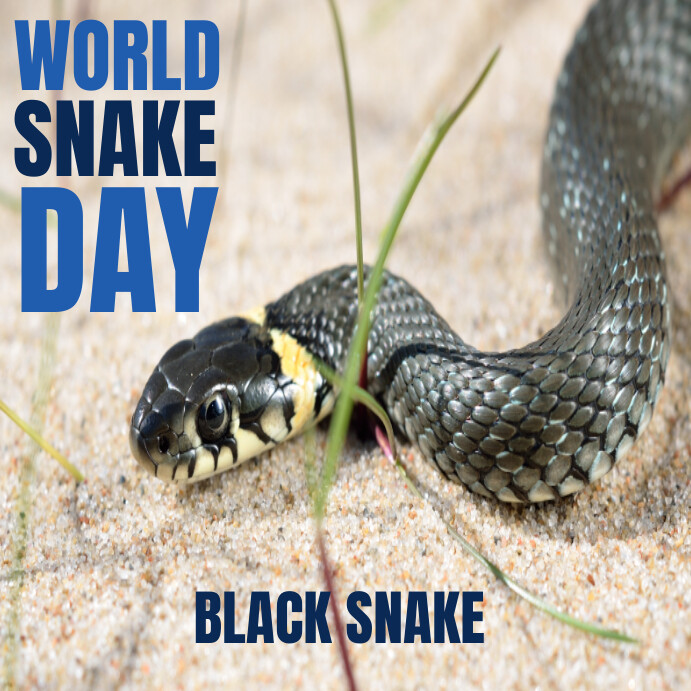 World Snake Day Design Template | PosterMyWall