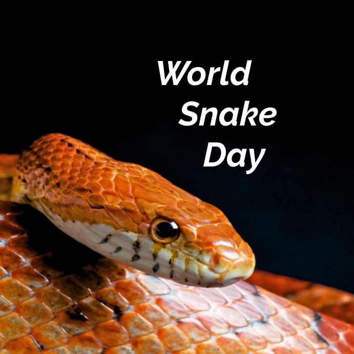 World snake day Instagram post Templat | PosterMyWall