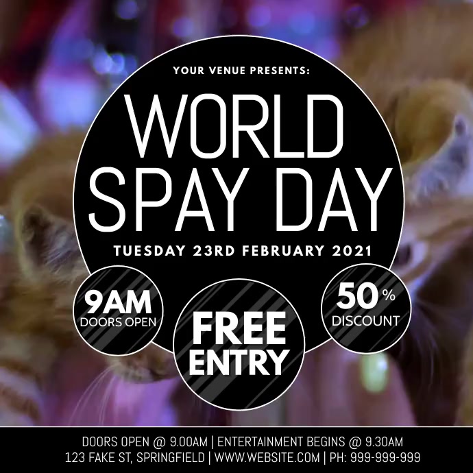 Copy of World Spay Day Video Poster | PosterMyWall