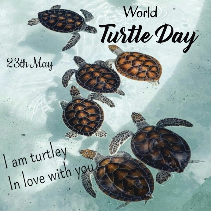 Plantilla de World turtle day instagram post | PosterMyWall