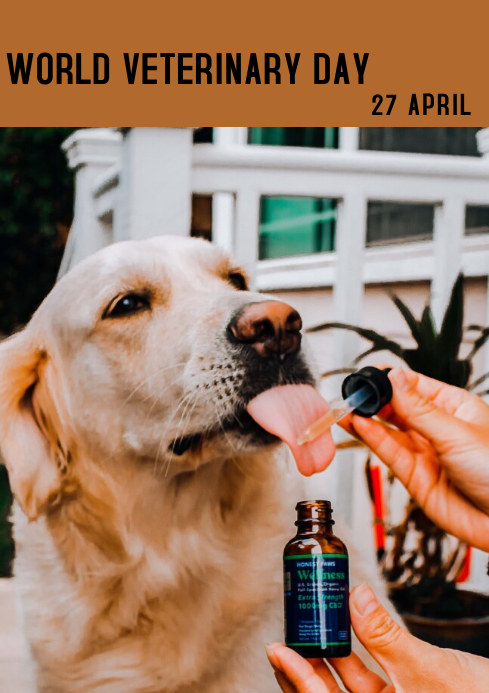 World Veterinary Day Template | PosterMyWall