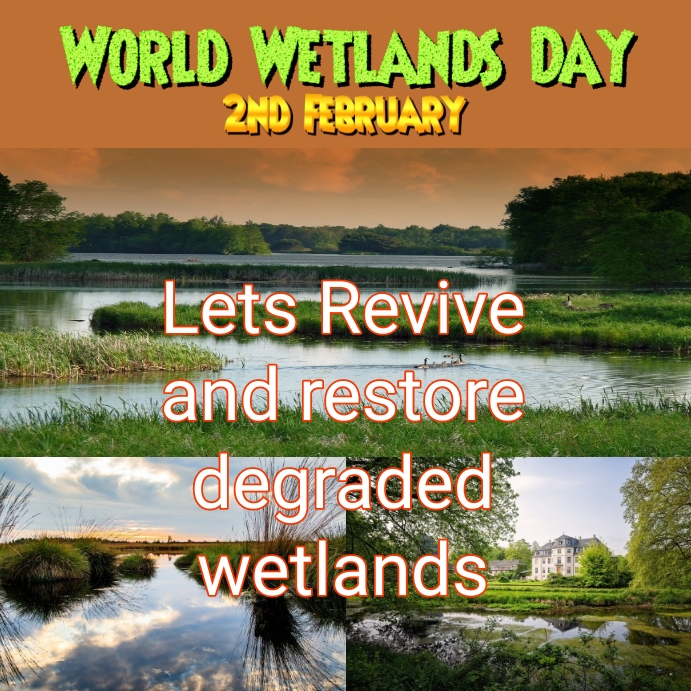 World Wetlands Day Template | PosterMyWall