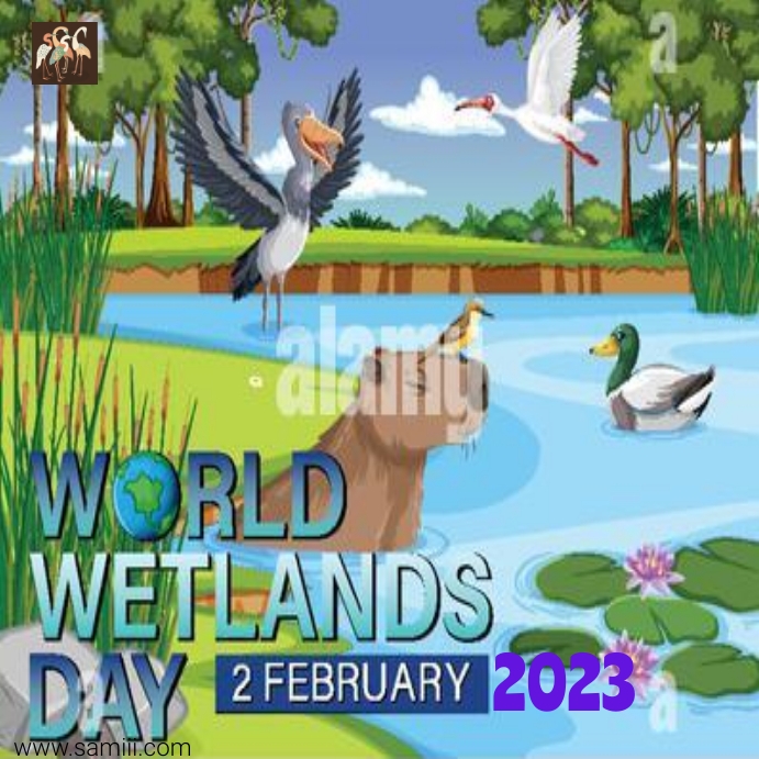 World wetlands day Template | PosterMyWall