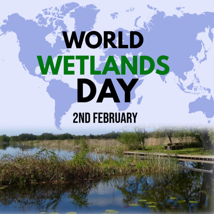 Copy of world wetlands day poster | PosterMyWall