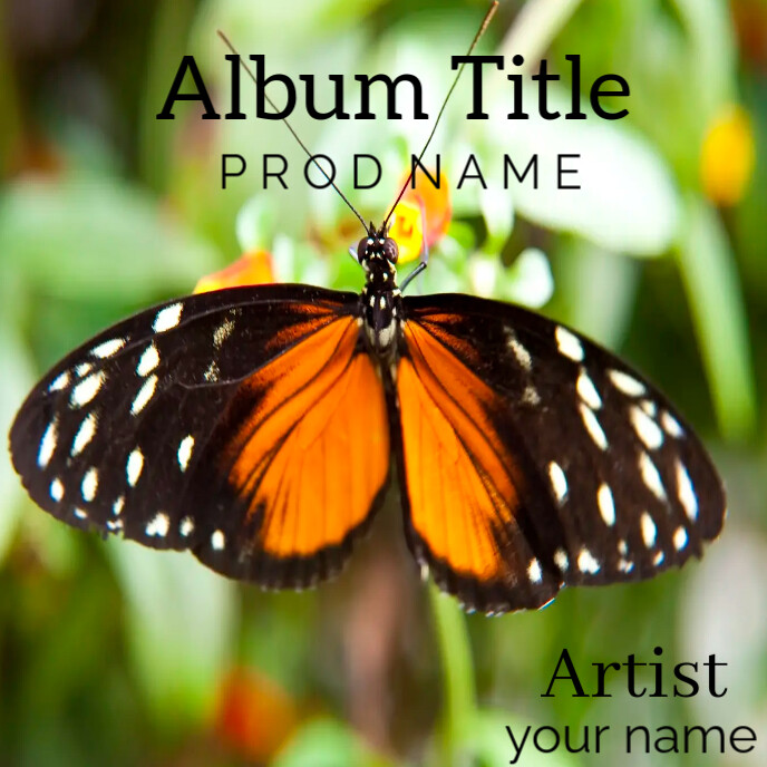 Copy of Yellow Joyful Butterfly Album Cover | PosterMyWall