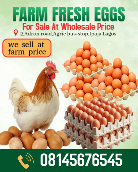 Yellow Maximalist Organic Farm Fresh Eggs Available Daily Instagram ...