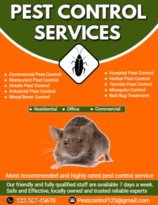 Copy of Yellow Maximalist Pest Control Services Flyer | PosterMyWall