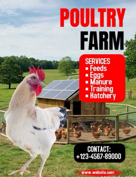 Yellow Modern & Minimal Poultry Farm Services Flyer (us Letter ...