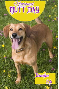 National mutt day Template | PosterMyWall