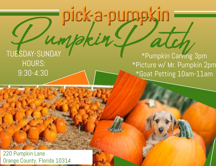 Yellow Pumpkin Patch Flyer (us Letter) Template | PosterMyWall