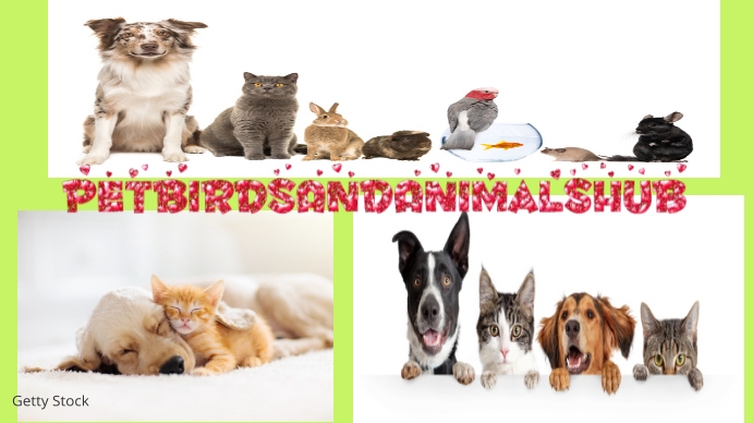 Youtube channel background cover Template | PosterMyWall