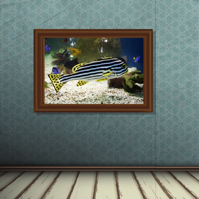 Zebra fish frame on wall design Template | PosterMyWall
