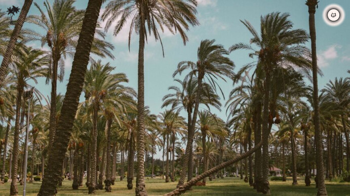 Copy of Zoom 078 | PosterMyWall