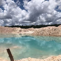 Samuel Springer | PosterMyWall