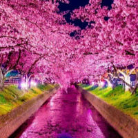 Ingrid Julieth Diaz | PosterMyWall