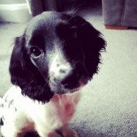 Jessica Stott | PosterMyWall