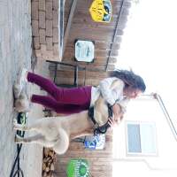 Sarah Meagher | PosterMyWall